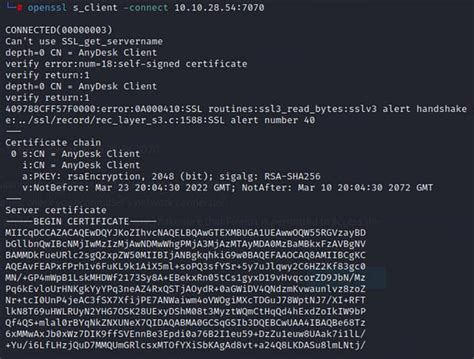 lidor roccah on linkedin annie ctf — full detailed walkthrough