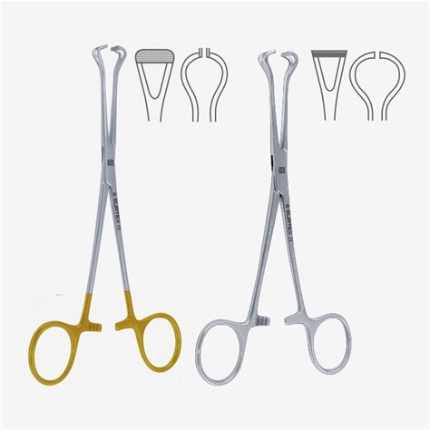 Babcock Tissue Forceps Ray Integrated Medicals