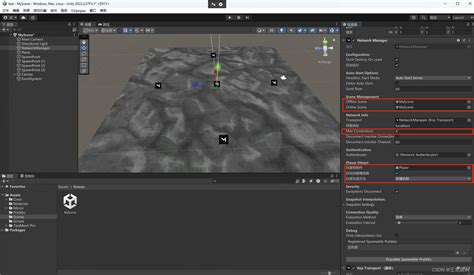 unity笔记七Mirror插件使用 unity mirror CSDN博客