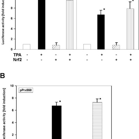 Effect Of Overexpressed C Jun On Tpa Dependent Induction Of Prx Download Scientific Diagram