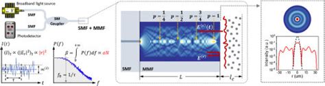 Schematic Of The Sm Common Path Interferometer Assisted By Mmi