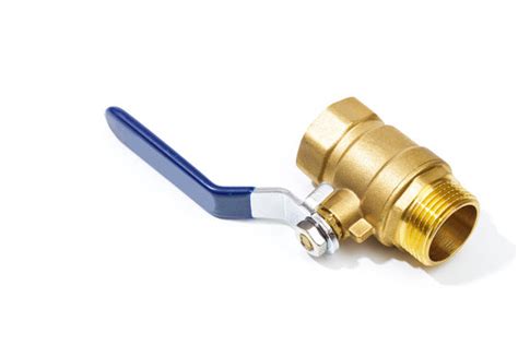 「imaga」の写真素材 15件の無料イラスト画像 Adobe Stock