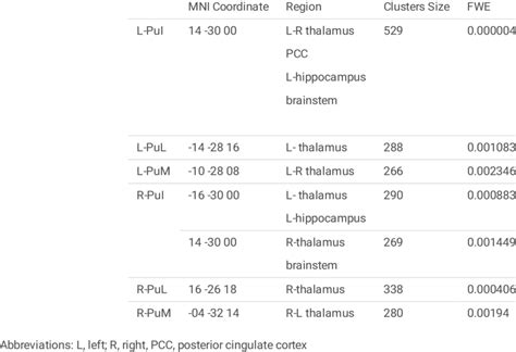 The Effect Of Mmse On Connectivity In Groups Between Groups Functional Download Scientific