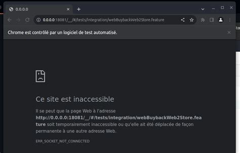 The Browser Launched By Cypress Can T Access The Internet Issue Cypress Io Cypress