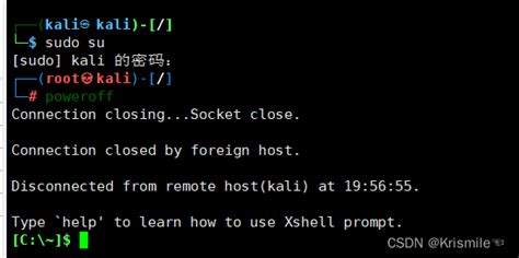 Kali Linux 基础命令讲解一kali保存退出的命令 Csdn博客