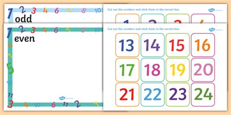 Editable Odd And Even Number Sorting Activity Teacher Made