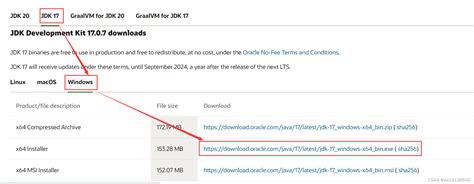 安装jdk17 Csdn博客 安装jdk17 Csdn博客