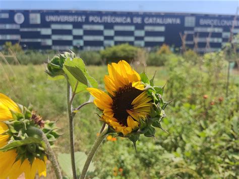 Eeabb Upc Soceeabb • Instagram Photos And Videos