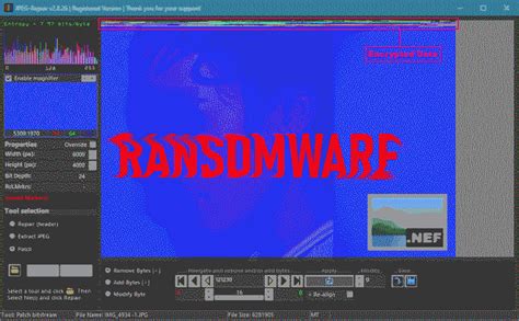 Nikon Raw Nef And Stop Djvu Ransomware Extracr Full Res Jpeg