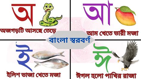 ছবি দেখে স্বরবর্ণ শিখি। বাংলা স্বরবর্ণ পরিচয়।অ তে অজগড়। অআইঈ।bangla Shorborno। স্বরবর্ণ