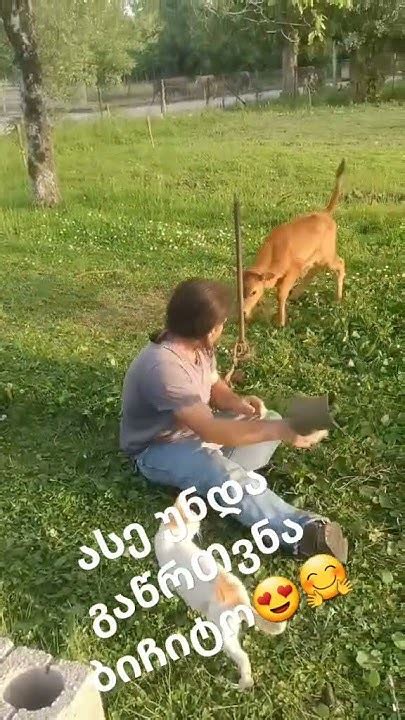 ბუნება ოჯახი პატარა ცხოველი სამყარო სიყვარული Შვილი Youtube