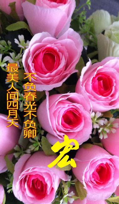 最美人間四月天 不負春光不負卿 每日頭條