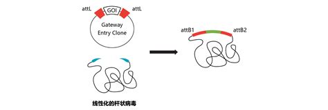 沃臻生物