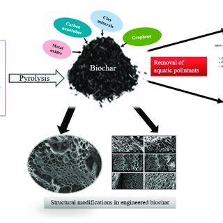 Modified Engineered Biochar Used To Remove Antibiotics From The Water Download Scientific Diagram