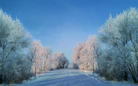 高清好看的图片 高清好看图片壁纸图片大全 3 配图网
