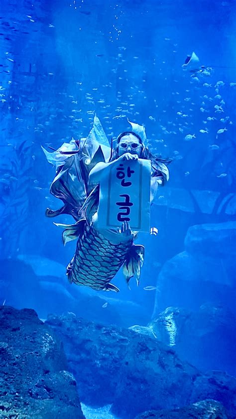 한글 수중 수상작 2024 2025 내가 만난 한글 사진·영상 공모