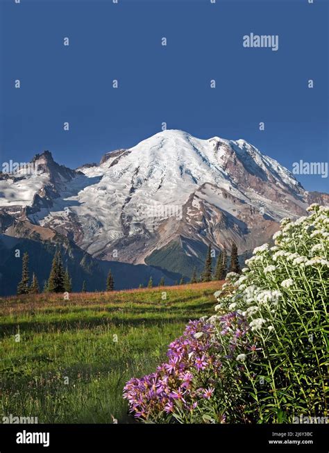 Tolmie Peak Lookout Hike Mount Hike Mount Rainier National Park