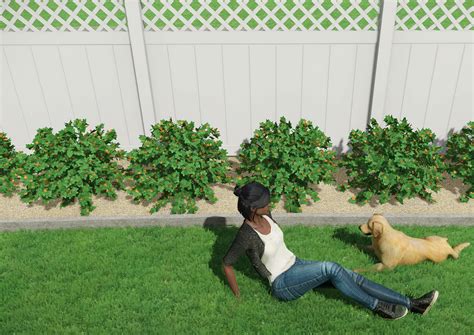 Adding A Plant Row Realtime Landscaping Help