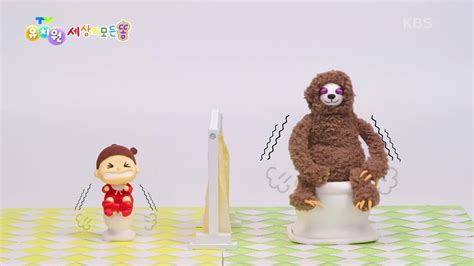 [세상의 모든 똥] 나무늘보 응가 만들기 나무늘보 똥은 돌멩이처럼 생겼네 Kbs 220824 방송 Zum Tv