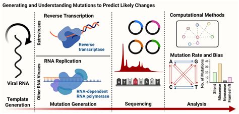 Schematic Of Mutation Prediction Of Rna Viruses That Can Be Generated Download Scientific