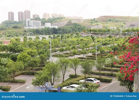 Process Of Urbanization Editorial Photo Image Of Road 73266446