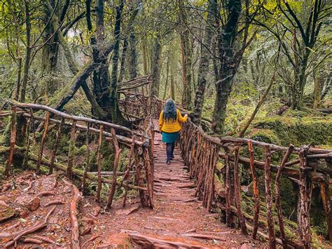 8 Magical Merlin Puzzlewood Filming Locations You Must Visit In The