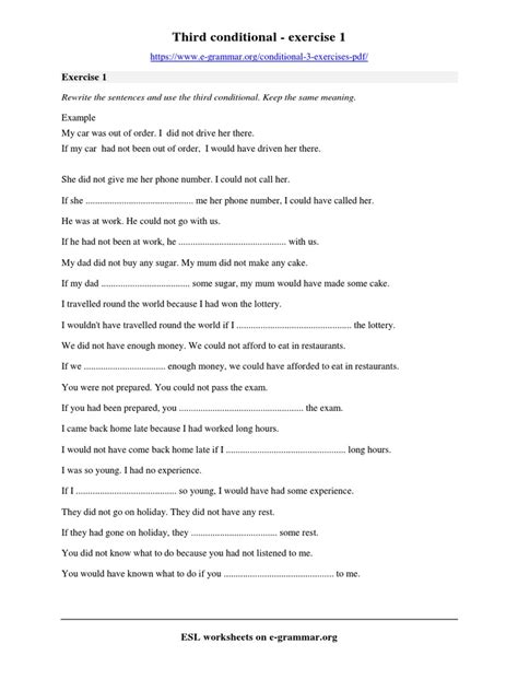 Third Conditional Exercise 1 Pdf