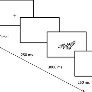 Procedure Of The Picture Naming Task Download Scientific Diagram
