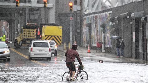 Inondations à New York Une Otarie Séchappe Du Zoo De La Ville Rtbf