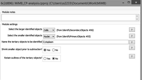 Screen Capture After Selecting The Identifytertiaryobjects Analysis Download Scientific