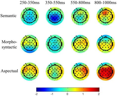 scalp topography for the effect of semantic morpho syntactic and