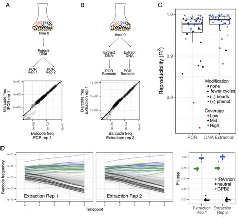 Stochastic Noise Generated During Barcode Extraction And Amplification Download Scientific