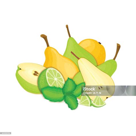 여러 배 감귤 라임과 민트의 컴포지션 나뭇잎 노란색과 녹색 벡터 배 전체 과일과 조각 열 대 레몬 주스 아침 건강 한 채식 음식의 디자인에 대 한 페 퍼 민트 잎과 과일 0