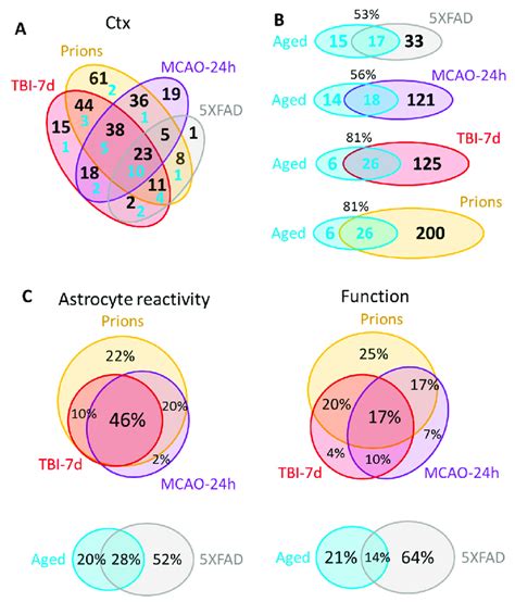 Venn Diagrams For The Differentially Expressed Genes In The Cortex A