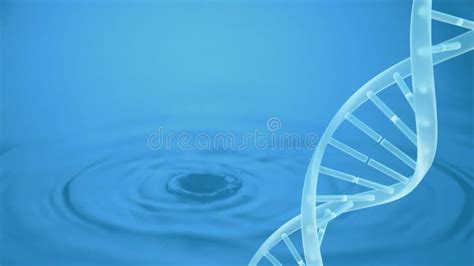 Dna Strand Animation Over Water Ripple Effect On Blue Background Stock Video Video Of Effect