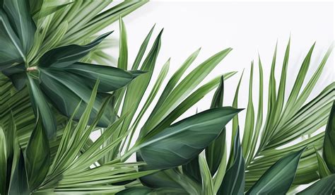 Download Ai Generated Leaves Plants Royalty Free Stock Illustration