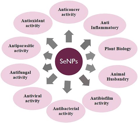 Biomedical Applications Of Selenium Nanoparticles Download Scientific