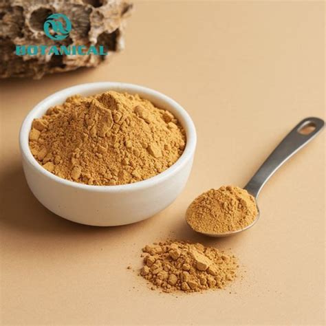 China Ganoderma Lucidum Extract Suppliers Manufacturers Factory Wholesale Price Botanical