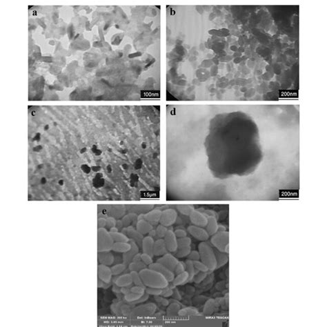 A TEM Image Of CuNCs B TEM Image Of ZIF C D TEM Image Of Download Scientific Diagram