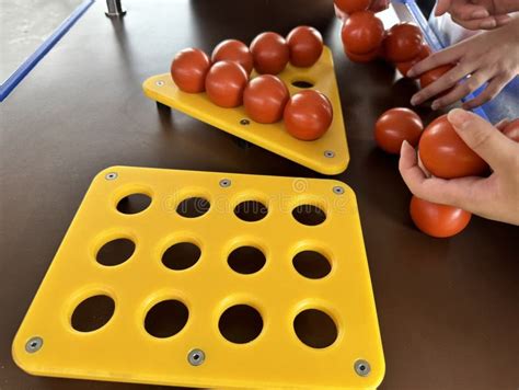 Studying Science At The Primary Level In Chonburi Thailand Editorial