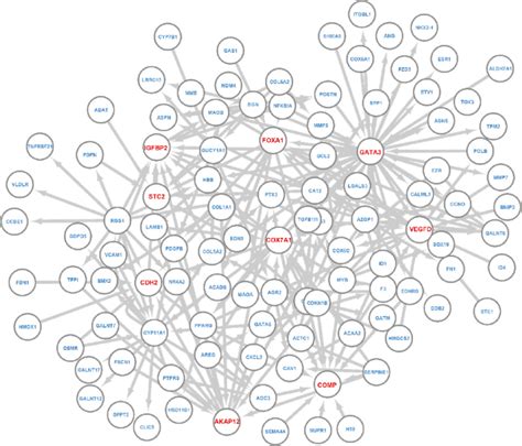 T Gem Regulatory Network Of The Last Layer For Brca Nodes Are
