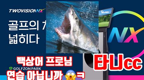물만난 백상어 아닙니까 😱ㅋ골프존nx 타니cc골프골프존스크린골프nx골프존cc필드필드골프필드레슨웨지퍼터아이언비거리골프레슨숏게임숏아이언드라이버