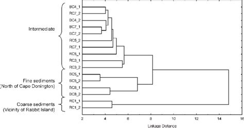 Dendrogram Using Single Linkage Euclidean Distances Highlighting The