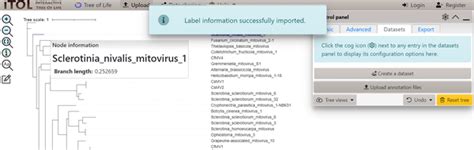 系统进化树的构建及美化 Phylusuite Itol 知乎