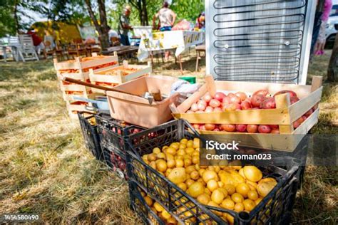 상자에 담긴 흰색과 빨간색 감자와 주방 세트 상자 껍질을 벗기는 도구 열린 음식 준비 가득 찬에 대한 스톡 사진 및 기타 이미지 가득 찬 감자 요리 개체 그룹