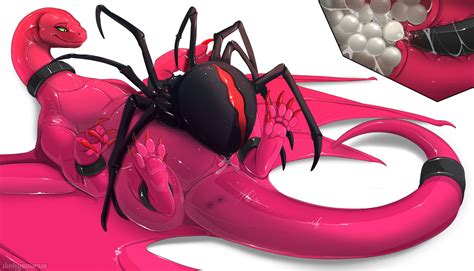 Rule 34 Arachnid Arthropod Arthropod Abdomen Genitalia Arthropod Abdomen Penis Black Widow