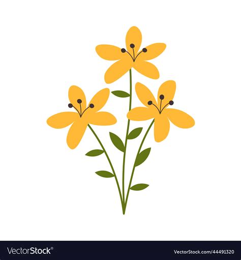 Flower Flat Icon Plant Nature Chamomile Sign Vector Image