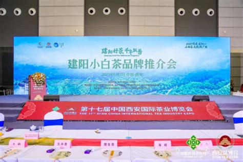 2023建阳小白茶品牌推介会成功举办 手机新浪网