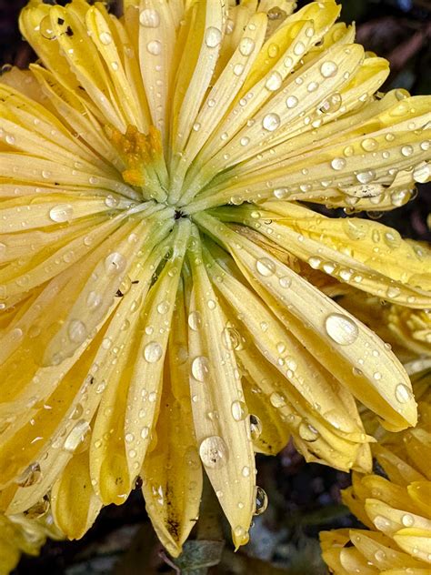 Radial Diffusivity By Artsyaureiya On Deviantart