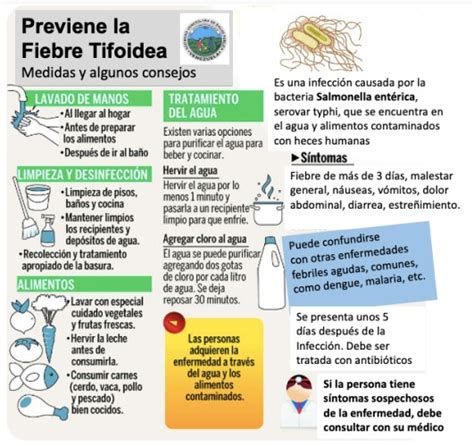 Síntomas Y Causas De La Fiebre Tifoidea